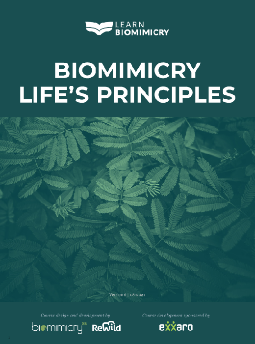 resource book: Biomimicry :: Dorthe leth